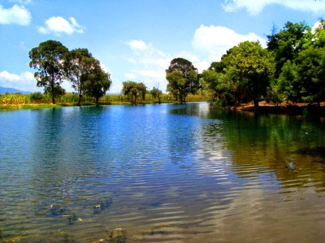 Jaime Ramos Méndez: Tarejero, municipio de Zacapu en Michoacán ...