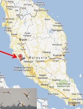 A PASSAGE TO INDIA: 165. SKETCHING IN SEKINCHAN