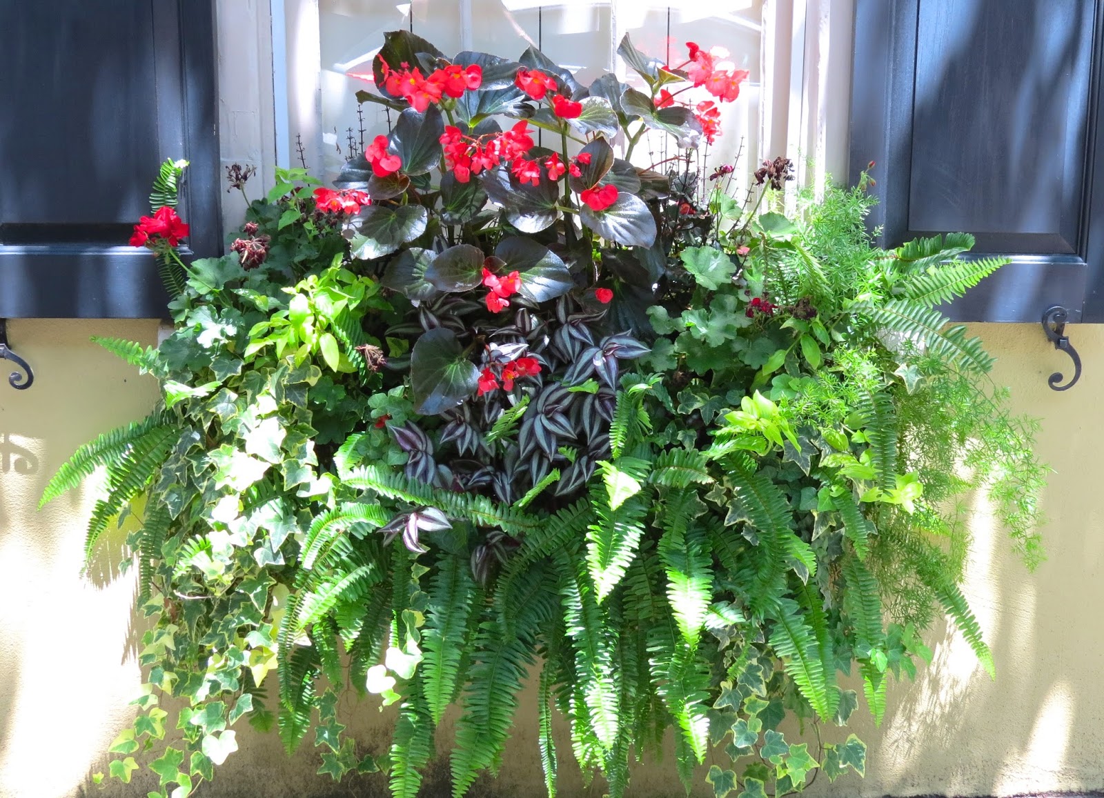 JLL DESIGN: Window Box Ideas & More Garden Inspirations