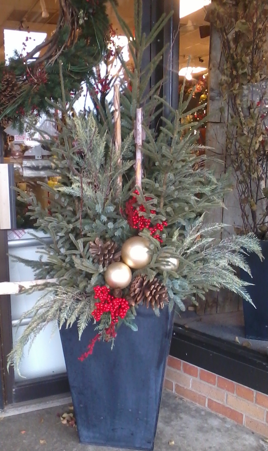 Schaaf: Spruce Tips, Winter Decor to Beautify the Home