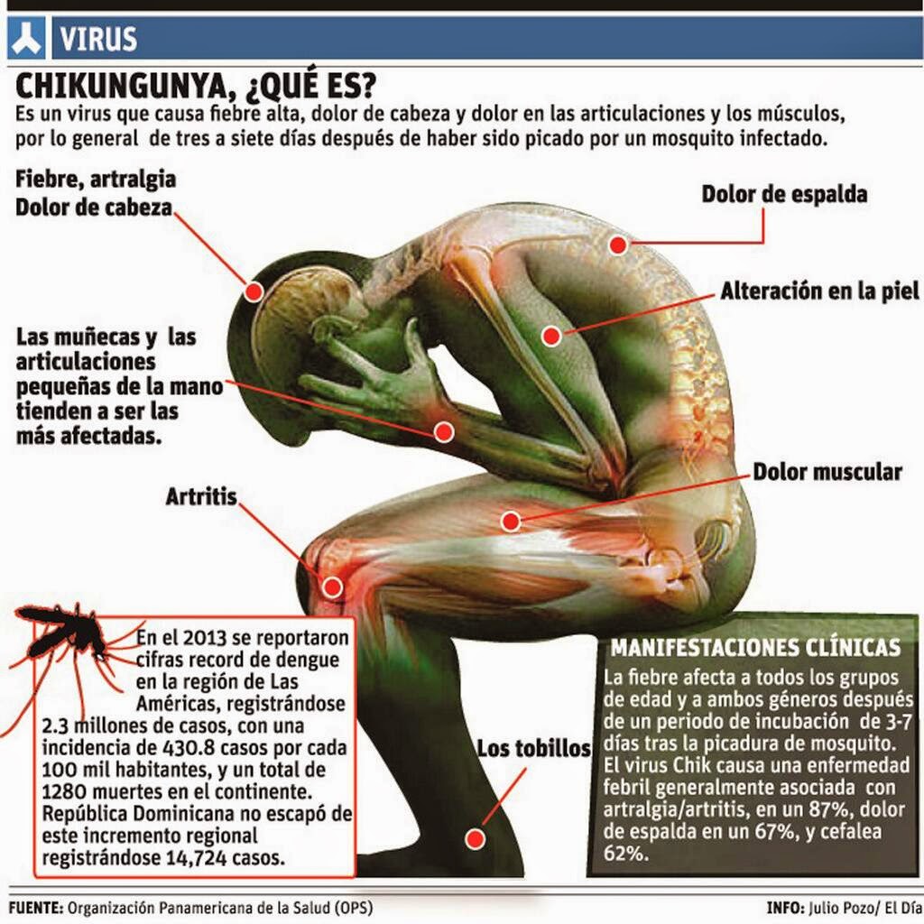 EMS SOLUTIONS INTERNATIONAL marca registrada: Guía para el manejo ...