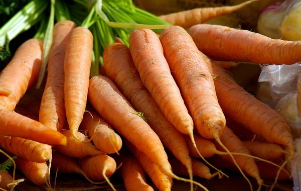 Cara Membuat Jus Wortel Super Enak Dan Menyehatkan - Resep Masakan Harian