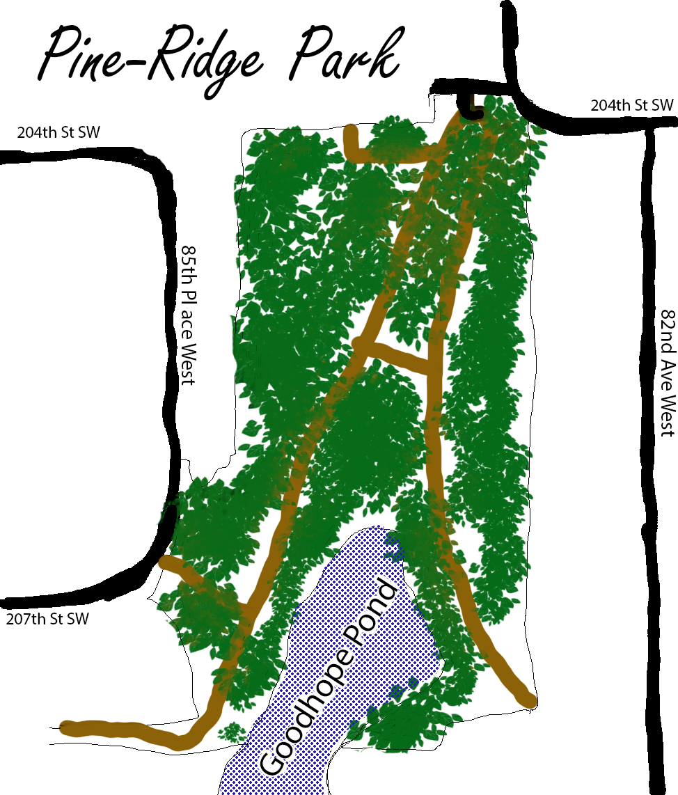 Blog Post #6: Pine-Ridge