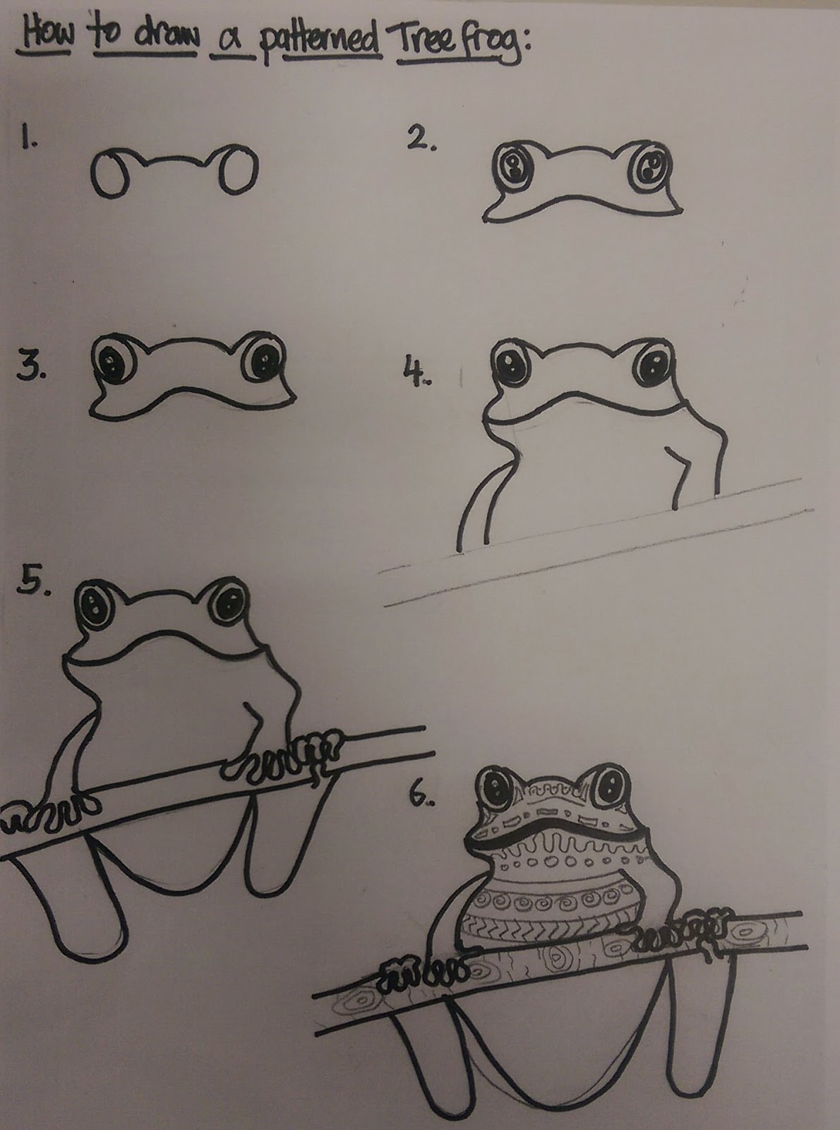 How To Draw A Tree Frog