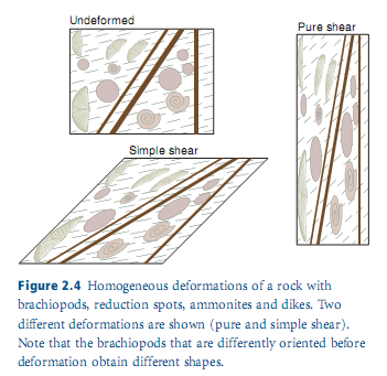 Adam Raka Ekasara: Konsep Deformasi