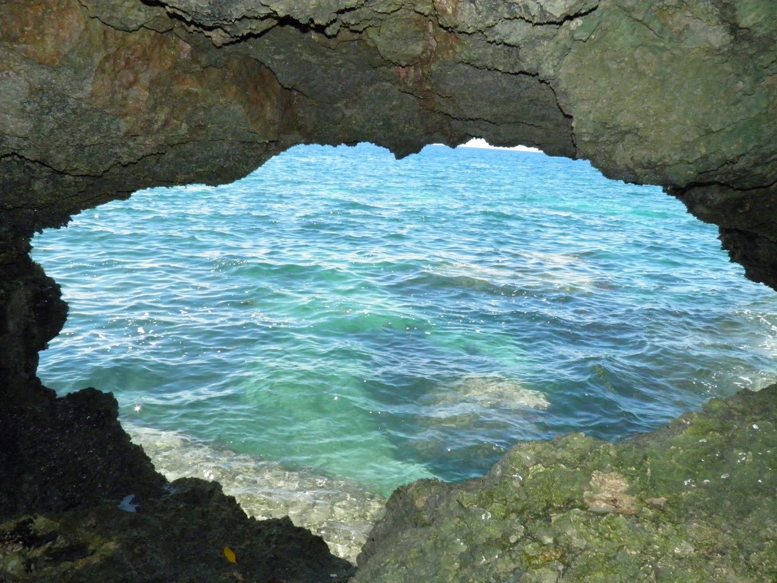 noel autor: A Taste of Nature at Initao-Libertad Protected Landscape ...