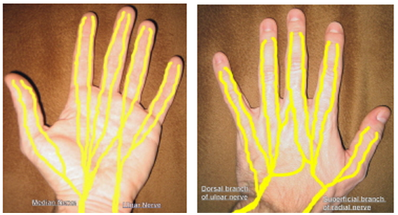 11:50: BLOQUEOS DIGITALES