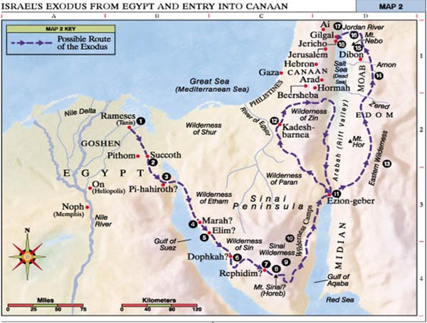 Desafio 365: Dia 054: Números 29-33