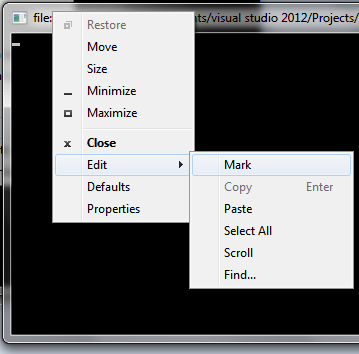Developer Command Prompt For Visual Studio