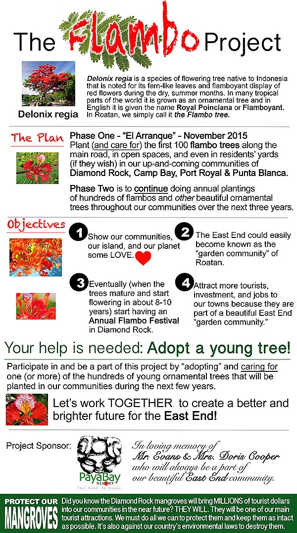 My Roatan - Adventures in Creating Nirvana: the flambo project