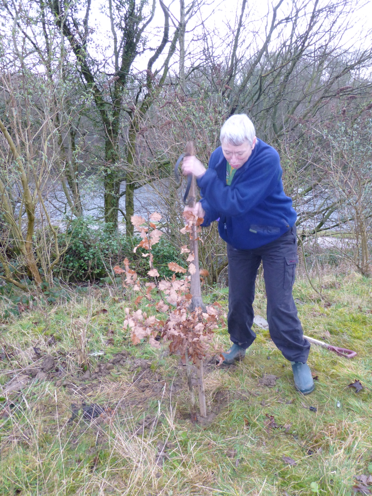 News from Lancaster Cohousing: Working on the land