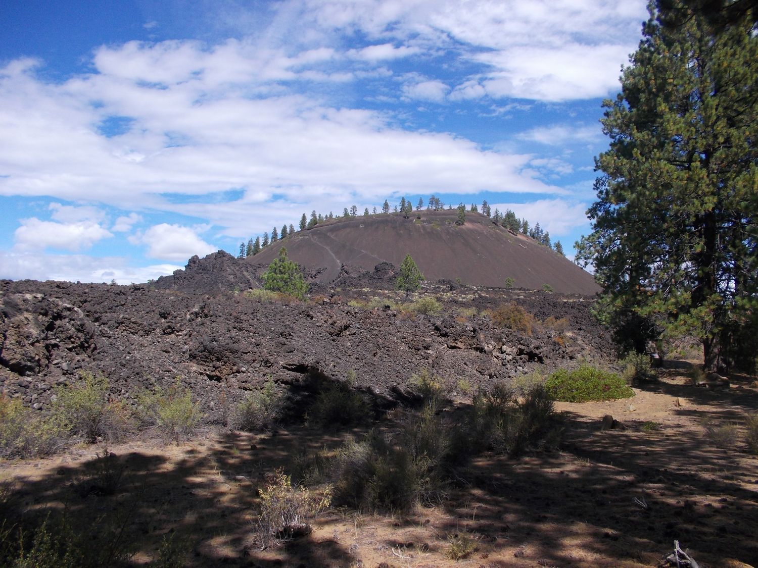 Dave'n'Kathy's Vagabond Blog: Lava Lands!