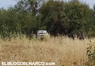 Noticias sobre el narco : MundoNarco.Com