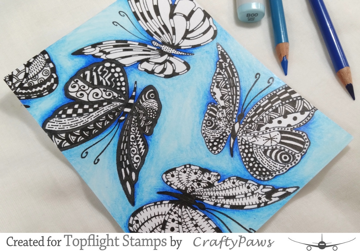 Zentangle Color Butterfly