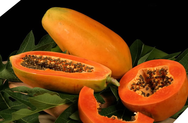 Herbal Keluarga 'Az Zahra': Khasiat Pepaya sebagai Pelangsing Tubuh ...