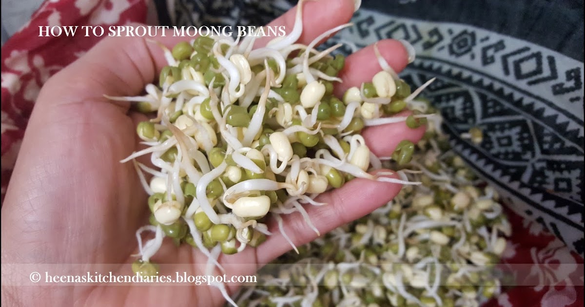 Heena's Kitchen Diaries: How to sprout Moong Beans Perfectly each time