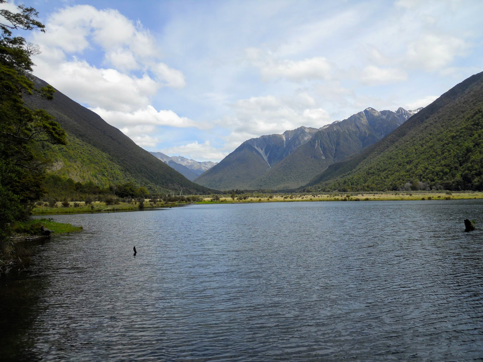Tramping in the New Zealand backcountry: NZ Bush Adventures: Sojourn in ...