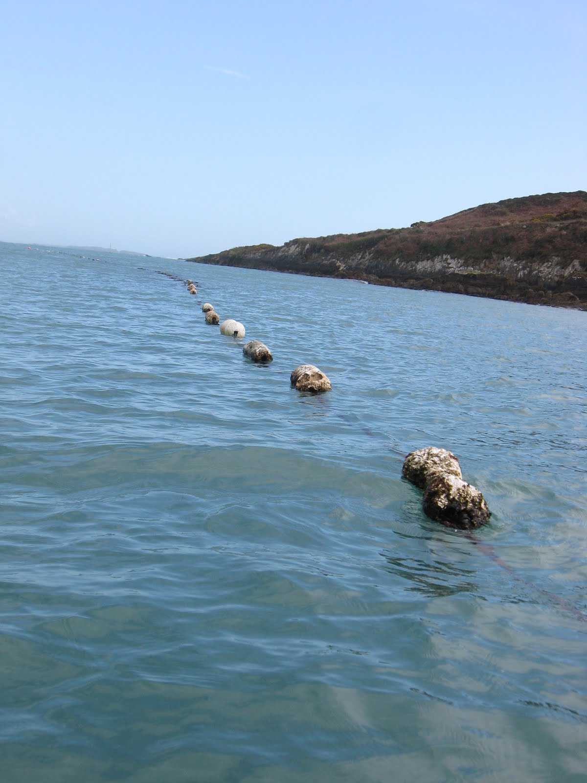 Sustainable Fish Farming: Fish Farm Tour of Ireland- April 2011