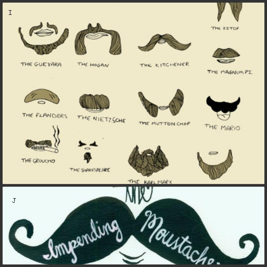 WONDERSTRUCK ACCESSORIES: GARSKIN / SKIN PROTECTOR