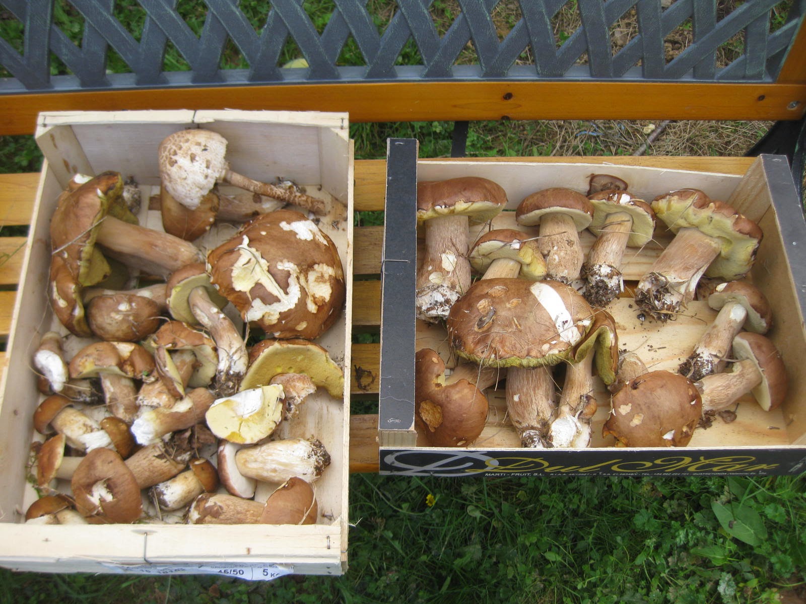 Bourdoux (Jumilhac-le-Grand, Dordogne): 2014