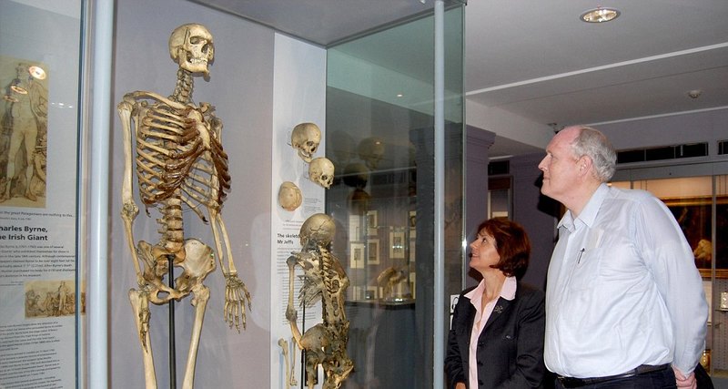 The giant’s skeleton from the London museum will be buried 200 years later