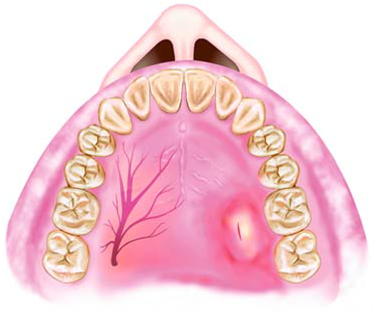 Dentistry and Medicine: Fundamental Principles of Treatment of ...