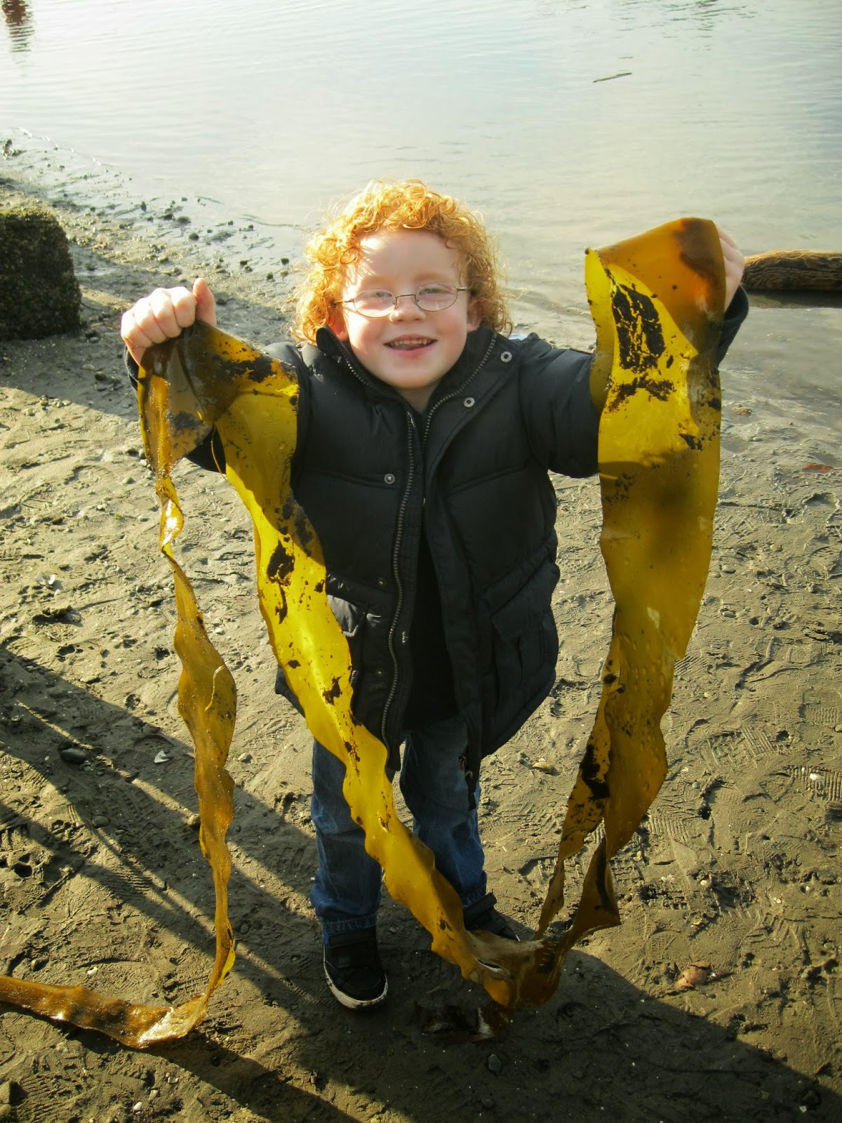 A Kindergarten Adventure in Project Based Learning: building excitement ...