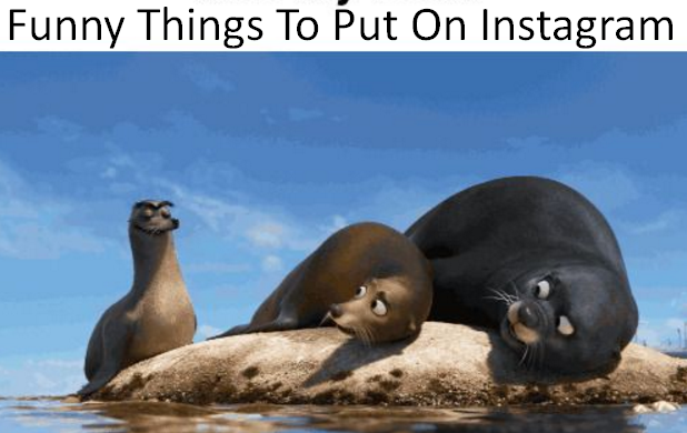 Funny Things To Put On Instagram funny-things-to-put-on-instagram