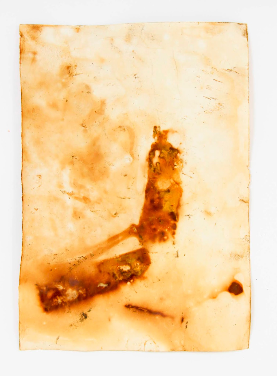 Rust Dyeing on Paper