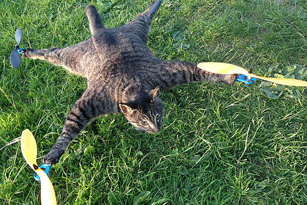 ORVILLECOPTER, O COMO HACER UN DRON CON TU GATO MUERTO Y DISECADO