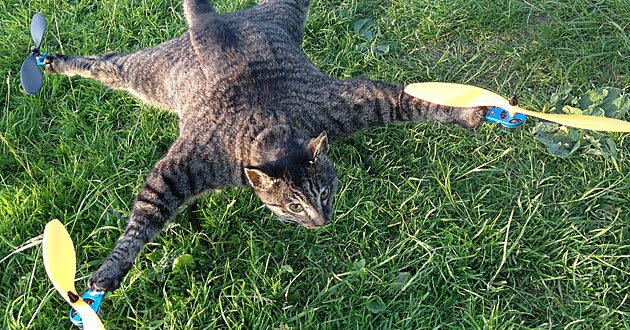 ORVILLECOPTER, O COMO HACER UN DRON CON TU GATO MUERTO Y DISECADO