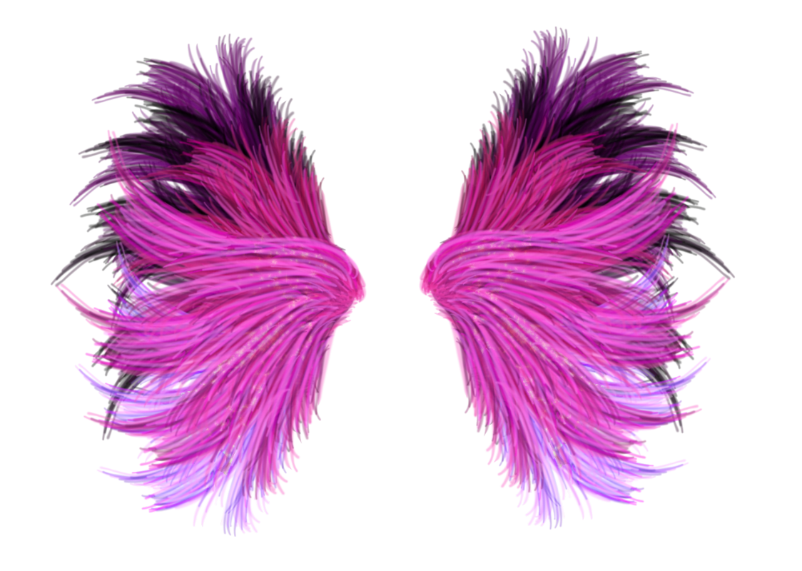 .♥:. Camilla Santos .:♥.: Belas Asas