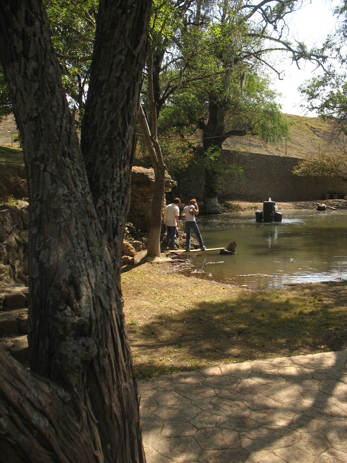 Exquisite Sorts: Basalt, Chicken, & More Pastes