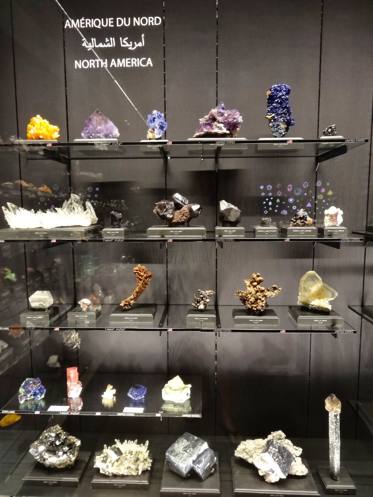 Natural History Museum of L.A. Minblog: Opening of the MIM museum in ...