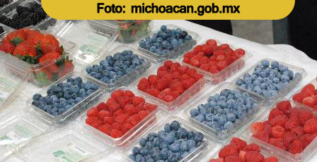 Uruapan Digital: Michoacán líder nacional de “frutas rojas”