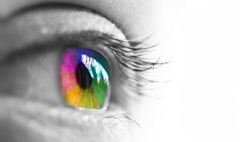 TIGA TIPE BELAJAR: VISUAL, AUDITORI, KINESTETIK