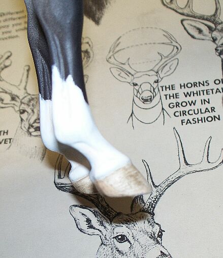 Luvjeordie Studios Blog: Hoof Painting Tutorial: