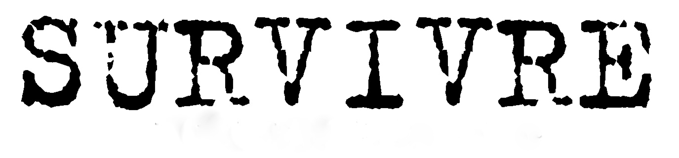 1e HISTOIRE CHAK JOUR: VIVRE ou SURVIVRE, ACCEPTER