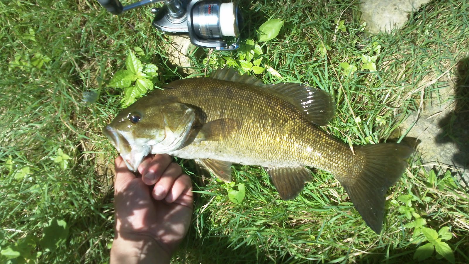 Illinois Wisconsin Fishing: milwaukee river smallmouth bass redemption