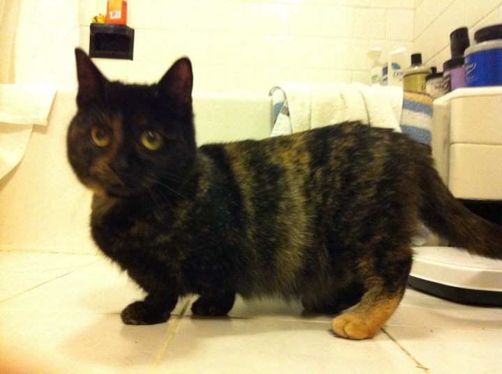 Mental Menagerie: Spring is On Her Way