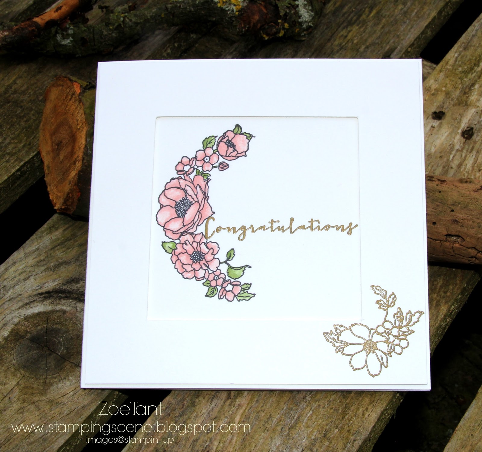 Stampin Up UK Demonstrator independent supplier paper craft ...