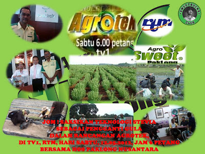 STEVIA REBAUDIANA: TEKNOLOGI STEVIA DALAM RANCANGAN AGROTEK, TV1, RTM BAKAL DI SIARAN PADA HARI ...