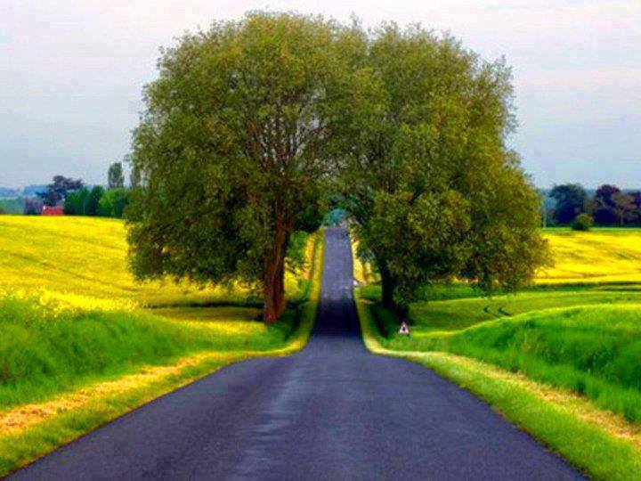 9 Gambar Pembinaan Jalan yang Mengikut Resmi Alam...!!!