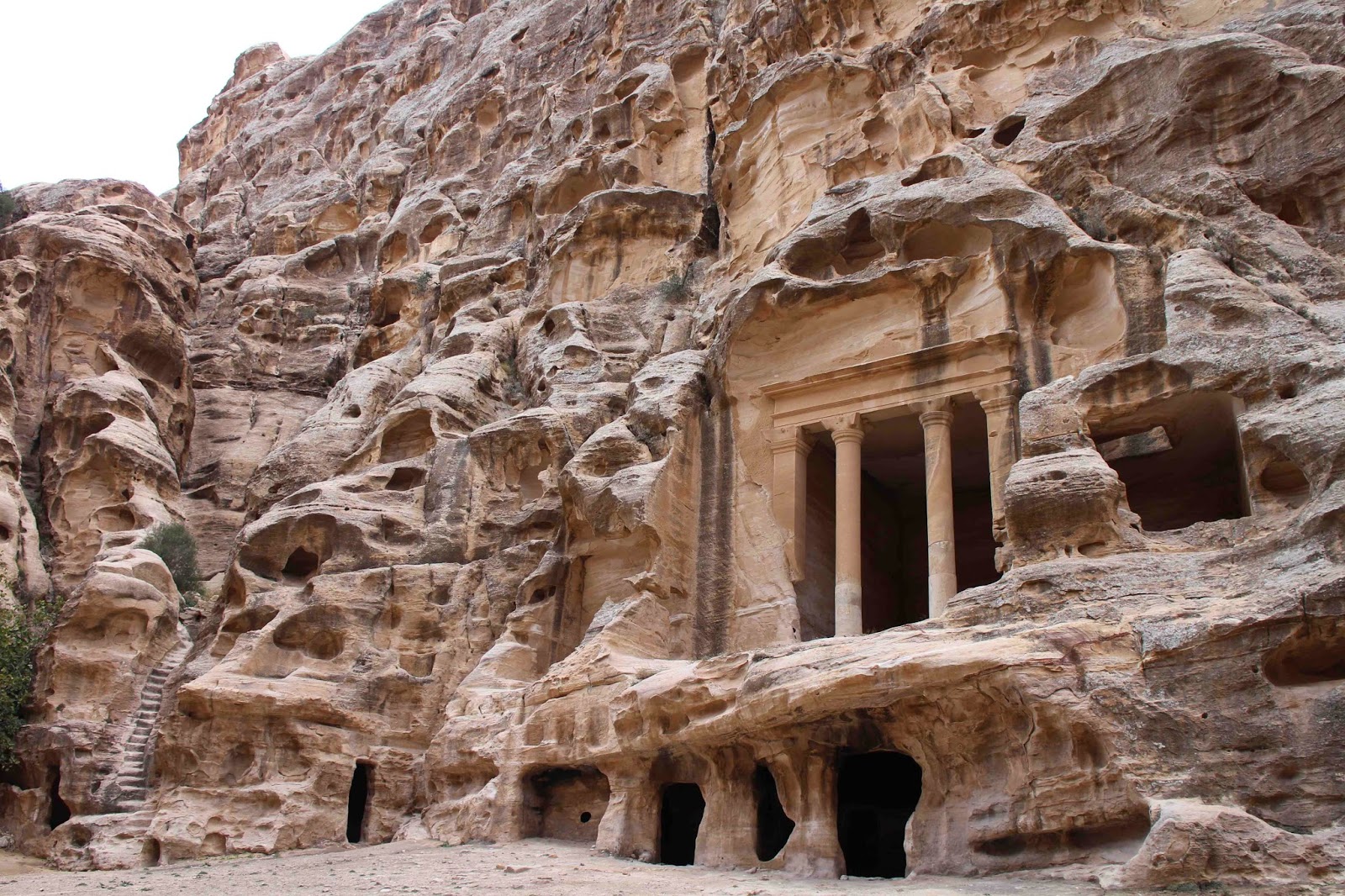 documentingian, blog: Introduction: Finding my roots in the trees of Petra