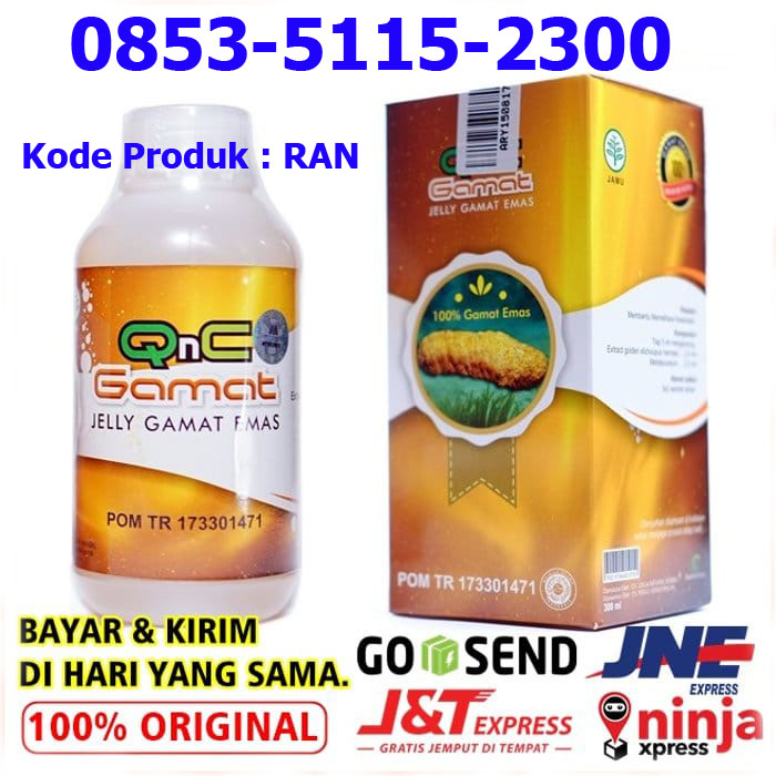 Pengertian Qnc Jelly Gamat Beserta Khasiat dan Manfaat ~ Qnc Jelly Gamat