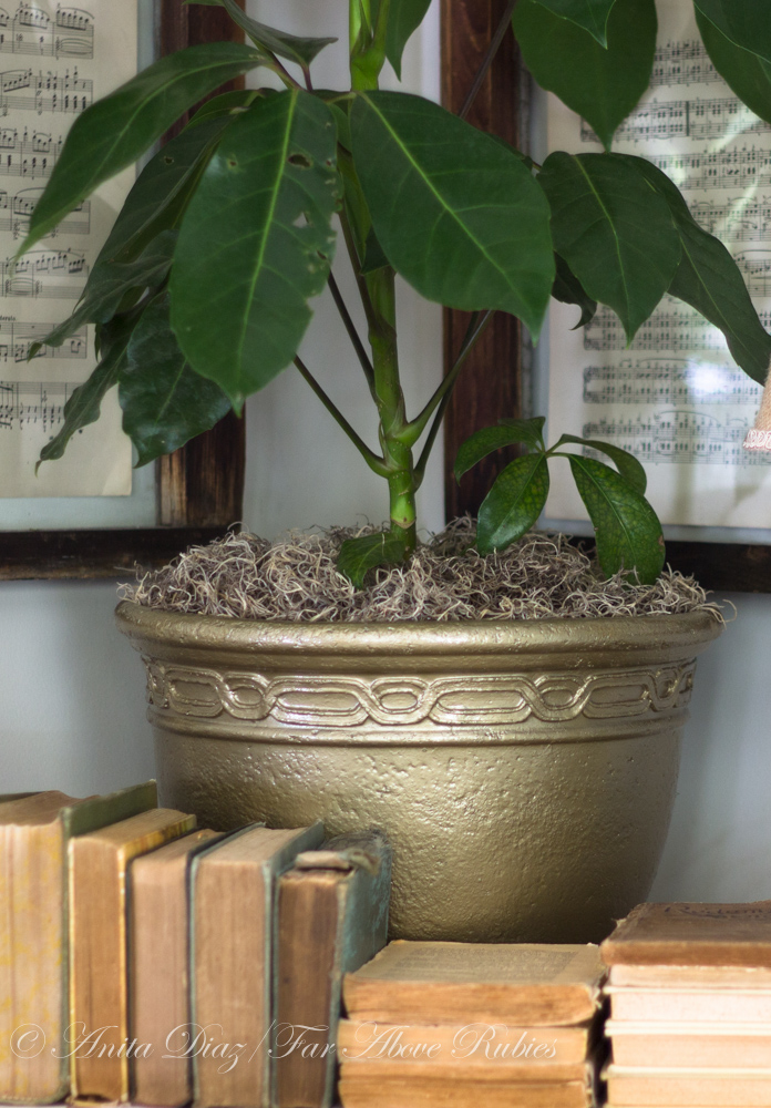 "Vintage" houseplants and a planter makeover - Whispering Pines Homestead