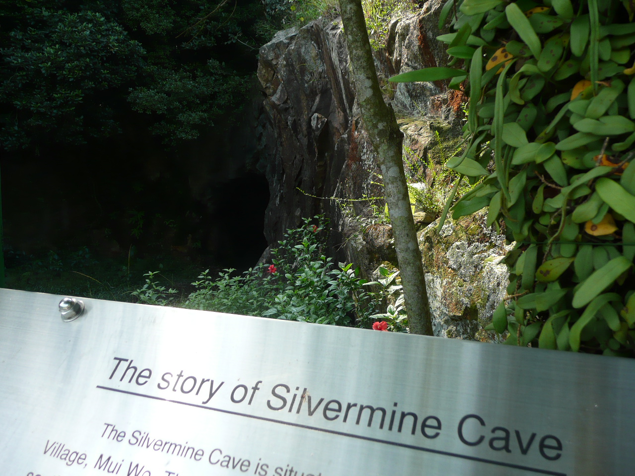 WEBS OF SIGNIFICANCE: Around greater Mui Wo (Photo-essay)