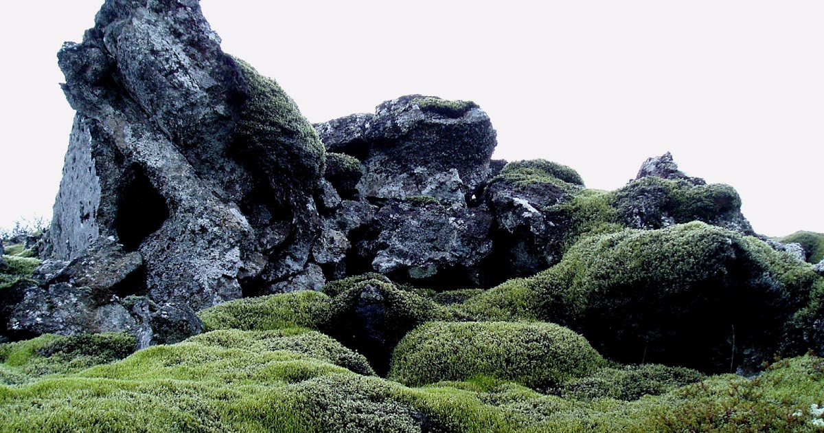 Iceland Eyes: an Original Icelandic Photojournal Since 2004: Gálgahraun