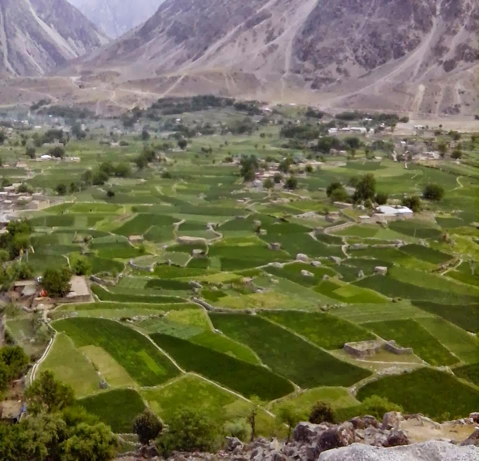 Explore the Beauty of Pakistan: Darel valley District Diamer Gilgit ...