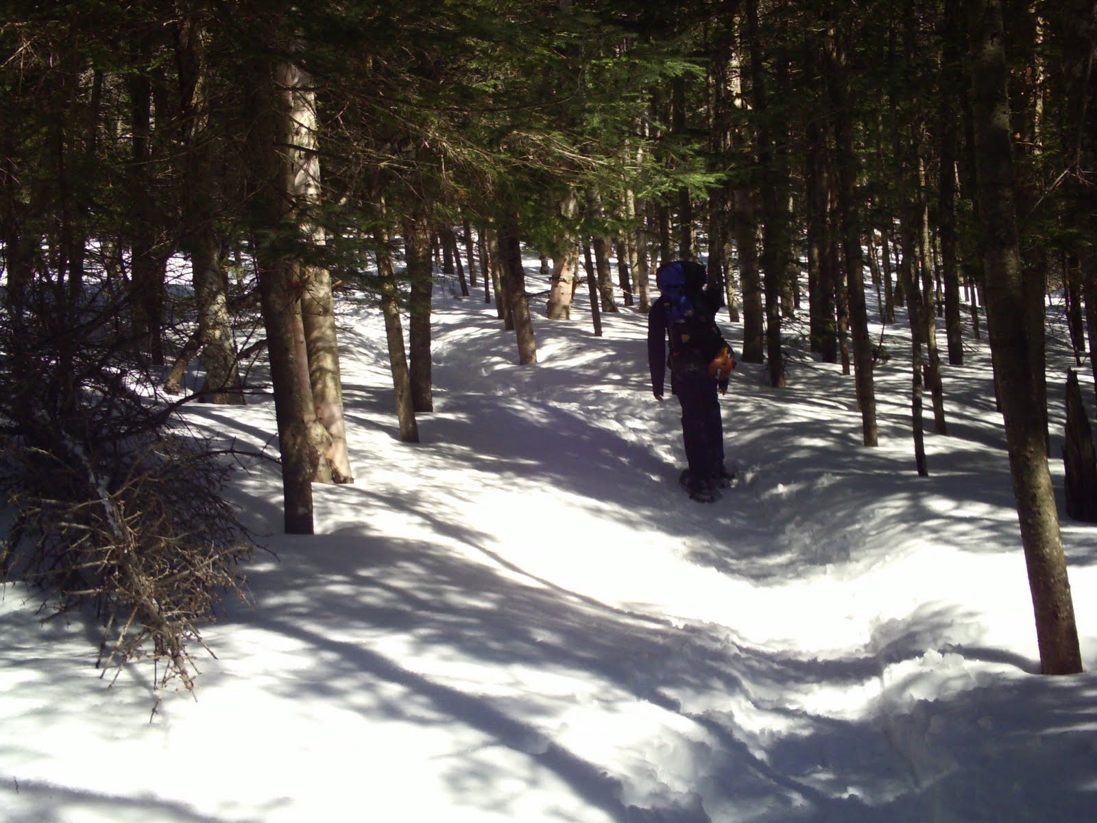 Thomas & Paul hike the New Hampshire 48s: Mt. Moosilauke (#13) April 9 ...